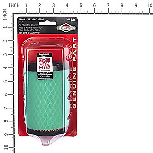 Briggs and Stratton 5428K Air Filter with Pre-Cleaner