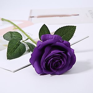 CHUXAY GARDEN Purple Rose Seed 100 Seeds Rare Rosa Bush Heirloom Perennial Flowering Plant Striking Bush Vine Climber