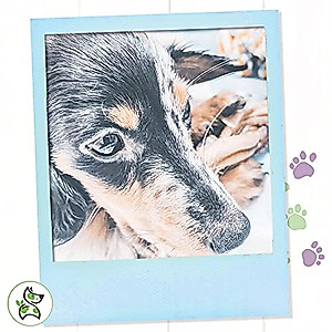 Nature Gnaws Variety Pack of Dog Chews and Bully Sticks - Long Lasting Gnaw Treats Bag for Puppies and Active Dogs - Natural and Rawhide Free Bones