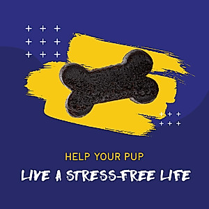 PupGrade Anxiety Chews - Anxiety & Stress Support for All Dogs - Natural Muscle Relaxant & Ease Nervous Upset Stomachs - No Wheat, Corn, and Artificial Ingredients - Meat Flavored - 60 Soft Chews