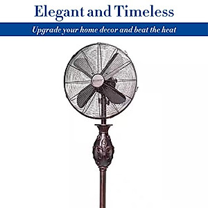 DecoBREEZE DBF0611 Pedestal Standing Floor Fan, 16-Inch, Fleur De Lis