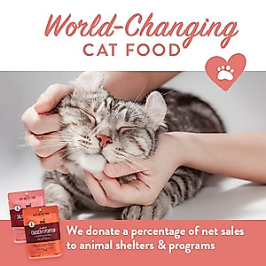 Human-Grade Mixed Variety Pack Wet Cat Food Pouch — Moist, Soft Cat Food Mixer, Topper, and Rotational Meal (Salmon, 12 Pack) by Portland Pet Food Company