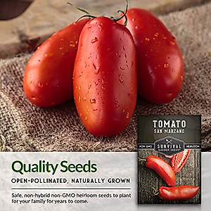 Survival Garden Seeds - San Marzano Tomato Seed for Planting - Packet with Instructions to Plant and Grow Tomatoes in Your Home Vegetable Garden - Non-GMO Heirloom Variety - 4 Packs