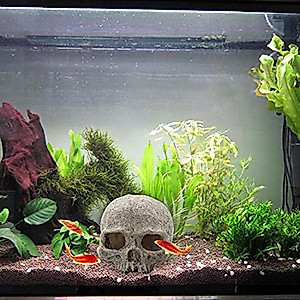 Tfwadmx Aquarium Skull Decor, Resin Fish Tank Decorations Cave Betta Fish Hiedout Reptile House for Small Fish,Shrimp