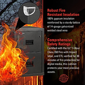 Fire Resistant File Cabinet - 2 Drawer Let/Leg. 22" Depth Black