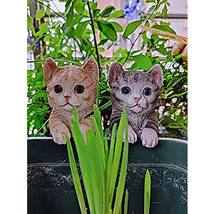 OXSNice Miniature Fairy Garden and Terrarium Flower Pot and Vase Hugger Ornaments Flower Animal Pots Hanging Garden Flower Pots Balcony Pendant Ornaments (Two Cats)