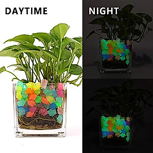 Oubest Fish Tank Decorations Rocks Little Glow in The Dark Aquarium Stones Fish Turtle Tank Pebbles Gravel Garden Rocks 300Pc 1.4cm