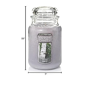 Yankee Candle Silver Birch Scented, Classic 22oz Large Jar Single Wick Aromatherapy Candle, Over 110 Hours of Burn Time, Apothecary Jar Fall Candle, Autumn Candle Scented for Home