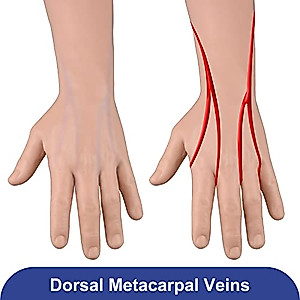 Medarchitect IV Injection & Phlebotomy Arm Practice kit with Intravenous Infusion, Blood Draw, Venipuncture Techniques Training Model for NP/PA/RN Medical Students Educational Teaching