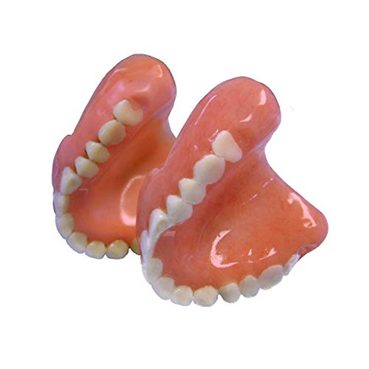 Denture Repair Lab - Duplicate Denture - Denture Clone - Denture Duplication - New Denture - Copy Denture - Spare Denture - Denture Clone - Denture Teeth Repair