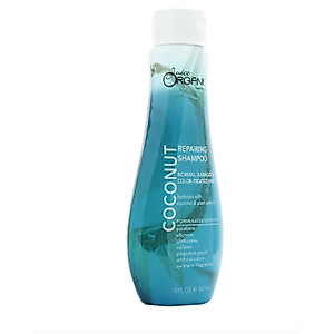 Juice Beauty Coconut Repairing Shampoo - 300 mL - Boosts Hydration + Enhances Shine - Vegan, Cruelty Free