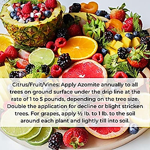 5 Pounds of Azomite - Organic Trace Mineral Powder - 67 Essential Minerals for You and Your Garden by Raw Supply