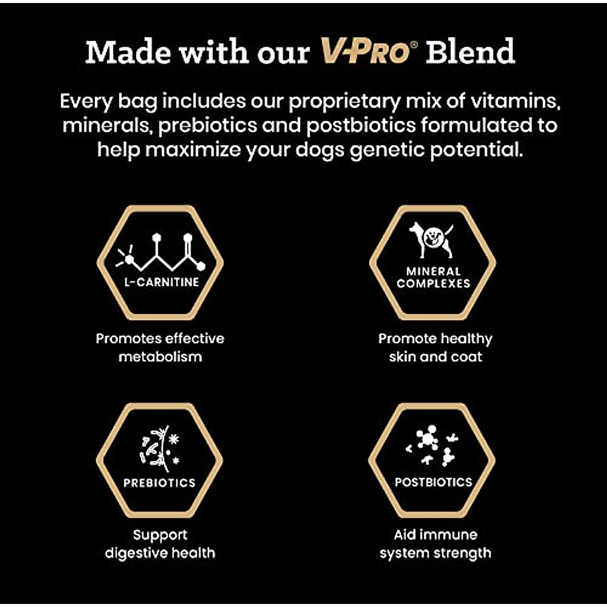 Victor Super Premium Dog Treats – Classic Hi-Pro Strips Dog Treats – Savory Dog Treats with Real Beef – Tender Beef Dog Treats for Active and Sporting Dogs, 14 oz