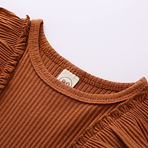 Toddler Baby Girl Ribbed Dress Ruffle Solid Round Neck Long Sleeve Cotton Sundress Kids Casual Spring Fall Dresses(Brown, 2-3T(100))
