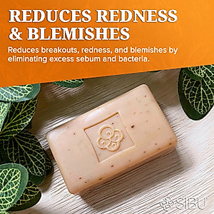 sibu Sea Buckthorn Soap, Cleansing Face & Body Bar with Citrus Scent (3-Pack) – Moisturizes Skin, Reduces Redness and Blemishes, and Calms Sensitive Skin