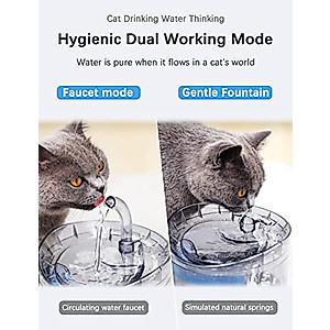 HAPUP Cat Water Fountain Animal Water Dispenser 61OZ/1.8L Automatic Pet Drinking Fountain Clear Upgrade with 2 Filter Replacement 1 Adjustable Silent 1 Water Pump for Cats Kitty Indoor