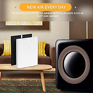 AP-1512HHS True HEPA Replacement Filter Compatible with Coway Airmega AP-1512HHS Air Cleaner Purifier, 2 Piece Set HEPA Filter and Carbon Filter