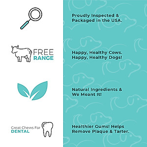 Dog Nip 6-Inch Baby Bully Bladder Sticks 1-Pound (Approx. 40-50 Pieces) for Dogs - All Natural - Single Ingredient - Best Long Lasting Dog Chew Dental Treats