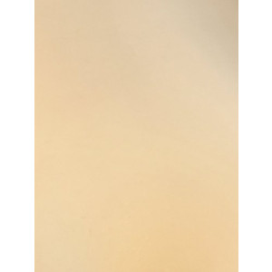 Mirror Gold Metallic Mirricard Cardstock - 8.5 X 11 inch - 100 lb / 12Pt - 10 Sheets from Cardstock Warehouse