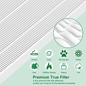 Laukowind 116130 Filter H Replacement for Winix 5500-2 Air Purifier and Models AM80-2, Includes 1 Pack Ture Filters and 1 Pack Activated Carbon Pre-filters (1 Sets)