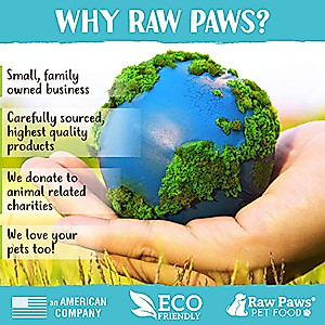 Raw Paws Natural Catnip Ball for Cats (6-ct) - Interactive Cat Toy for Indoor Cats - Cat Ball Toy - Kitten Toys - Cat Nip Ball Cat Toy - Cat Lick Ball - Cat Nip Cat Toys Balls - Catnip Ball Toy