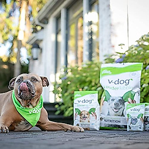 V-dog Vegan Kibble Dry Dog Food (24 LB) | Plant Based Protein with Added Taurine for Sensitive Stomach and Skin | Adult Dog Food | Vegetarian Superfood with Certified Organic Ingredients | Made in US