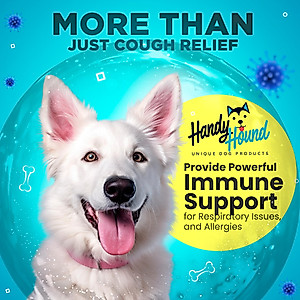 Handy Hound Natural Kennel Cough Relief for Dogs | Dog Cough Support with Dog Allergy Relief | Dog Cough Suppressant | Vet-Formulated | Natural Herbal Supplement 2 oz (60 ml)