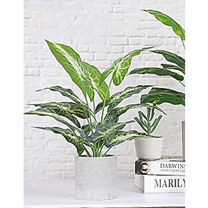 JC nateva 16" Small Fake Plants Artificial Potted Faux Plants for Office Desk Shelf Bathroom Home Decor