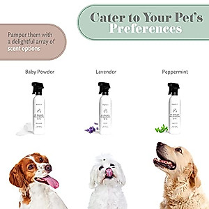 Begley's Natural Pet Detangling Spray - Premium Essential Oil Scented Detangler Spray for Dogs, Puppies & Cats - Dog Leave in Conditioner Spray - Dematting Spray for Dogs & Pets - 16 oz, Baby Powder