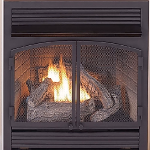 Duluth Forge Dual Fuel Ventless Gas Fireplace Insert - 32,000 BTU, T-Stat Control - Model# FDF400T-ZC-R (Renewed), Black