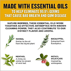 LISTERINE Antiseptic Adult Mouthwash, Original 8 Oz