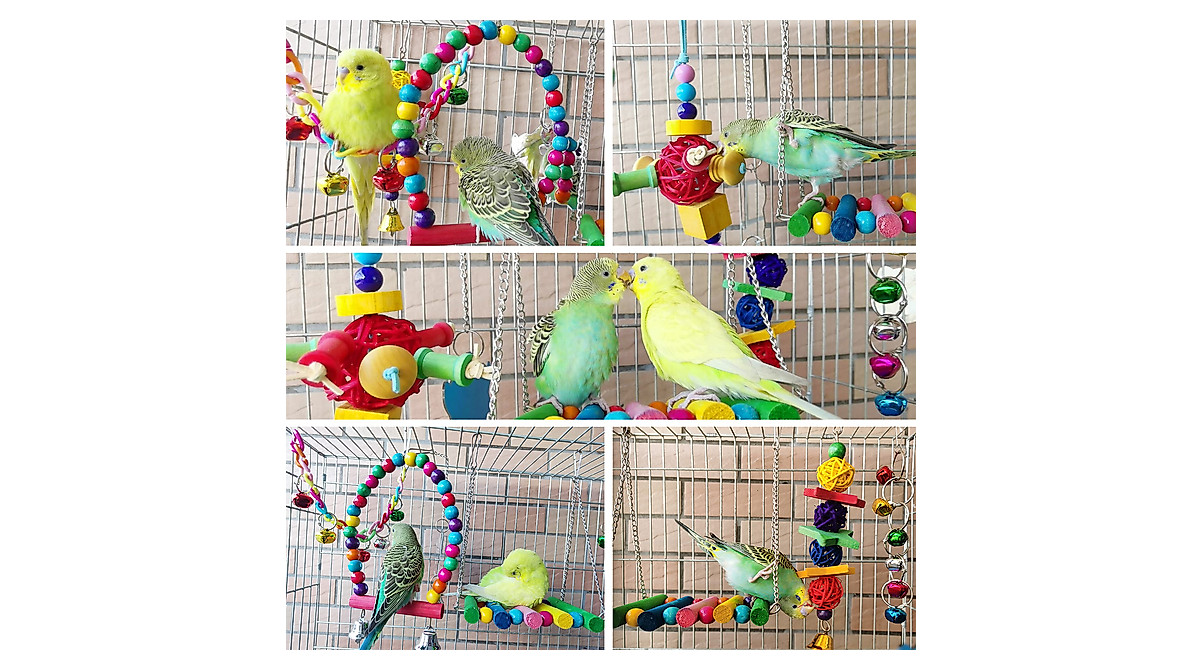 ESRISE 8 Pcs Parakeet Bird Toys for Cockatiels & Conures