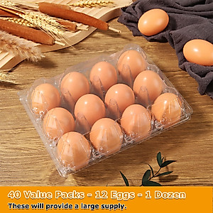 LISHINE 40 Pack Egg Cartons Cheap Bulk, Reusable Plastic Egg Cartons for Chicken Eggs, 1 Dozen Holds up to 12 Eggs, Clear Empty Reusable Egg Carton for Home Ranch Chicken Farm