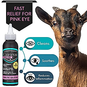 Curicyn Pink Eye Solution, Conjunctivitis Eye Drops for Dogs, Cats, Livestock and Horses – Pain Free, Non-Steroidal Dog Eye Wash with Purified Anolyte - Effects Observed in 1-3 Days - 3 oz