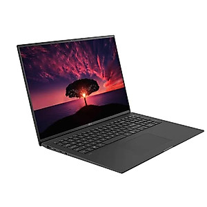 New LG Gram 17” WQXGA Business Laptop, Intel Evo 11th Gen Intel Core i7-1195G7 Processor, Windows 10 Pro, 16GB RAM 1TB SSD,32GB Durlyfish USB Card