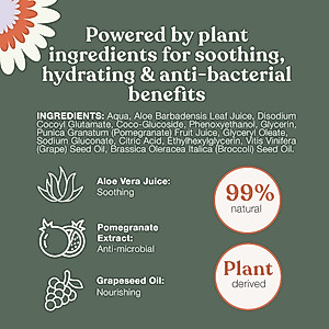 Dandylion Clean Paws | No-Rinse Foaming Cleanser | Gentle, Fragrance-Free, and pH Balanced to Provide a deep Clean Safe for All Dogs | 5fl oz. Bottle with Silicone Bristle Brush