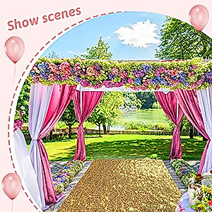 Sequin Aisle Runner for Weddings Glitter Wedding Rug Floor Hallway Carpet Runner Shiny Outdoor Aisle Runner Decor for Wedding Ceremony Halloween Christmas Thanksgiving Party(Gold,4 x 15 Feet)