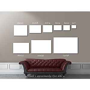 Swimming Loon on Water Bird Photography Unframed Black and White Print Nature Photo Silver Gray Wall Art Monochrome Home Decor