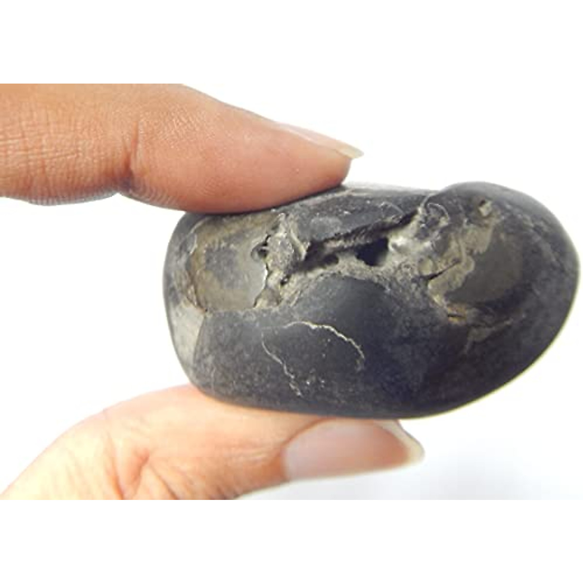 phoenix888 Surya Laxmi Maha Vishnu Buddha Dev Shaligram
