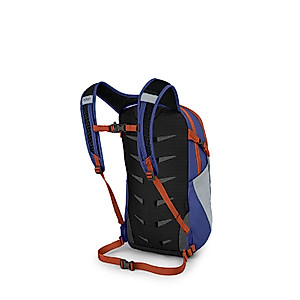Osprey Daylite Commuter Backpack, Silver Lining/Blueberry