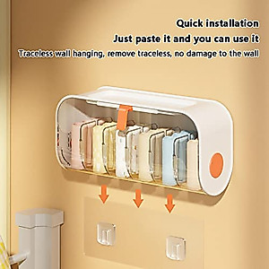 ACGrade Underwear Organizer, Wall-Mounted Sock Organizer, Transparent Plastic Bra Organizer, Underwear Organiser for Wardrobe, Adjustable Compartment Underwear Storage Box, 12.99'' x 6.1'' x 4.72''