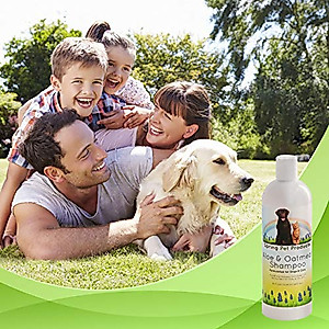 Spring Pet Aloe and Oatmeal Shampoo for Dogs and Cats ~ 16 Oz Veterinarians Choice Hypoallergenic Formula Blend of Coat and Skin Conditioners and Moisturizers Made in USA