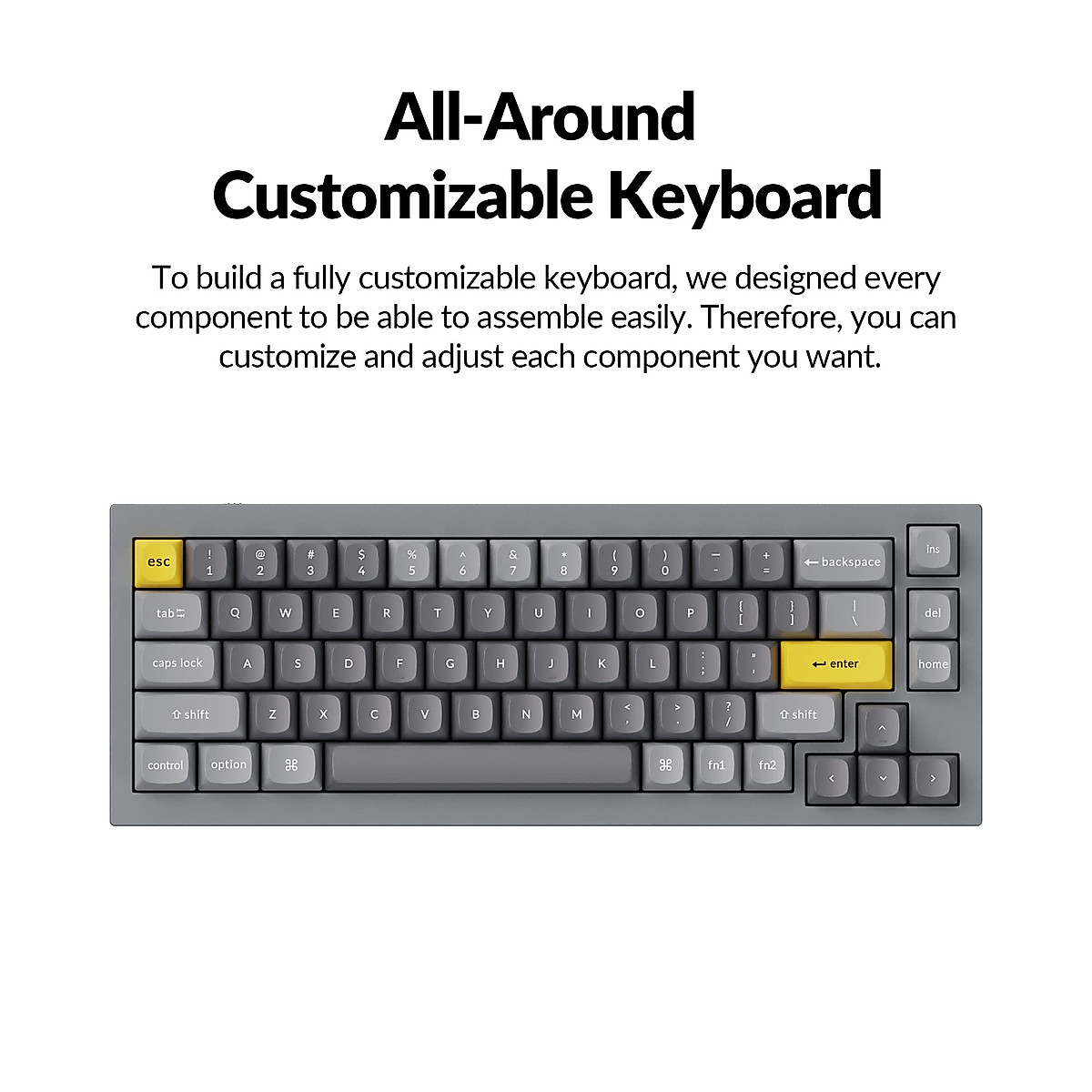 Keychron Q2 Wired Custom Mechanical Keyboard, QMK/VIA Programmable Macro, Full Aluminum, Hot-Swappable Gateron G Pro Red Switch, 65% Layout Double Gasket Compatible with Mac and Windows - Grey