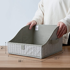 GRANNY SAYS Bundle of 3-Pack Trapezoid Storage Bins & 1-Pack Hanging Closet Organizer