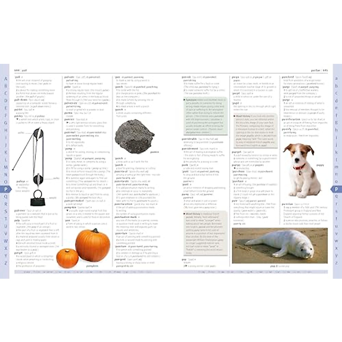 Merriam-Webster Children's Dictionary, New Edition: Features 3,000 Photographs and Illustrations