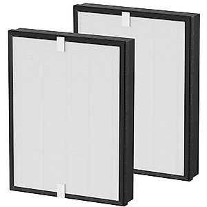 Skymechy AP-528 True HEPA Replacement Filter Compatible with Air Choice AP-528 Air Cleaner Purifier, High efficiency 3-in-1 True HEPA Filters, 2-Pack