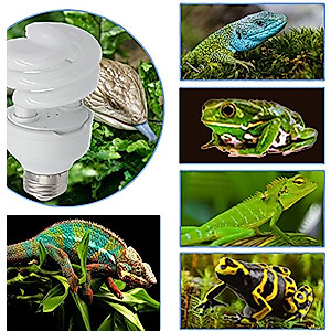 PTCCTV UVB Reptile Light Bulb 5.0 Turtle Lamp Energy Saving Compact Fluorescent Bulbs for Tropical Rainforest Amphibians Pet aquarium Fish Lizard Snake,E27 Screw (UVB5.0 13W)