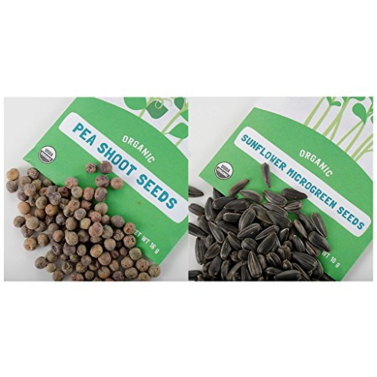 Back to the Roots 810667030377 Microgreen Bundle Sunflower & Organic Pea Shoot Seeds, Certified Organic, 0.56 Ounce (Pack of 6)