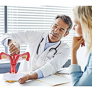 SKUMOD Uterus and Ovary Model Anatomical Model of Female reproductive Organs with Brackets Showing Anatomical Model of Uterus, Ovaries, Medical Teaching Tool