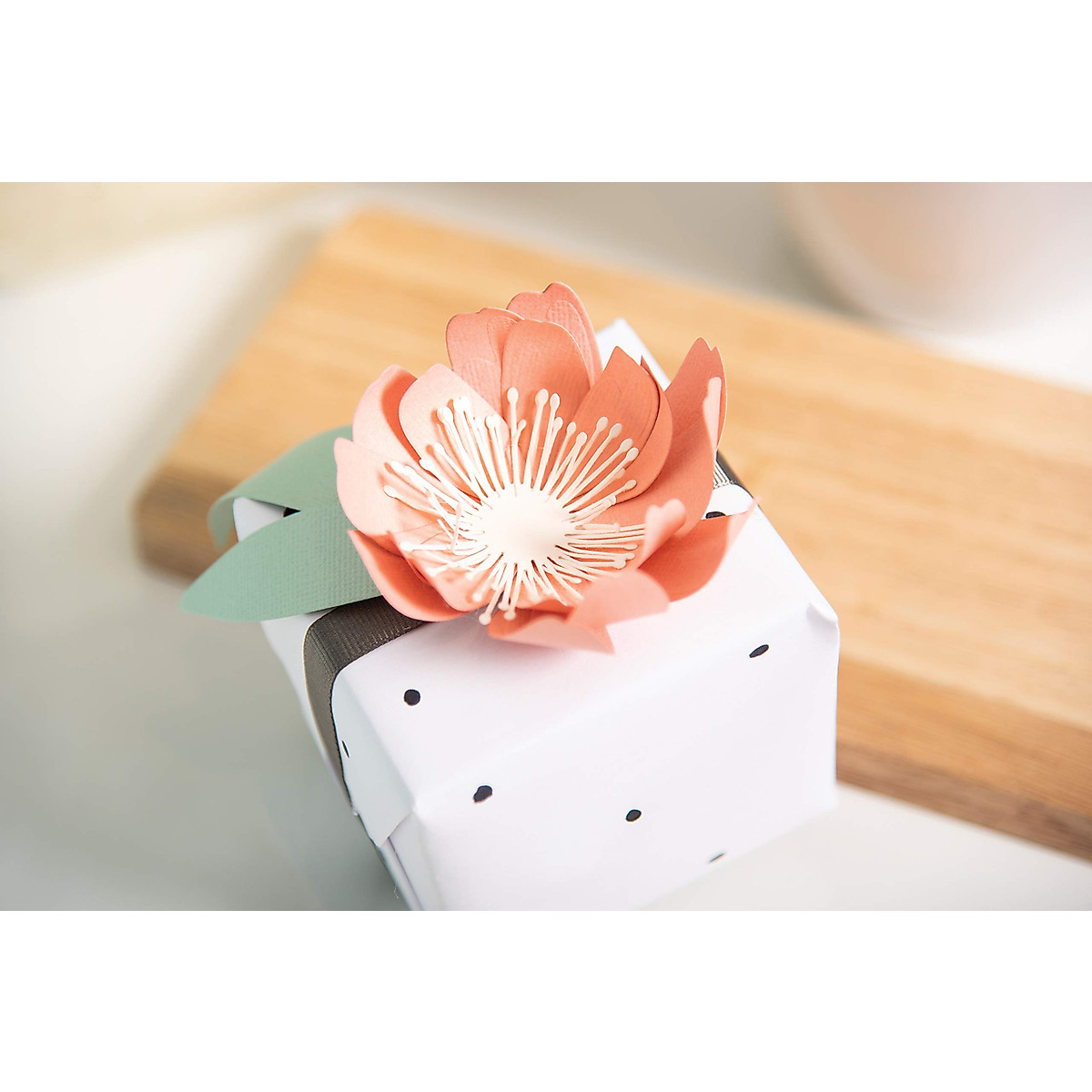 Sizzix Thinlits Die Set 8 Pack Tulip by Jennifer Ogborn, Multicolor